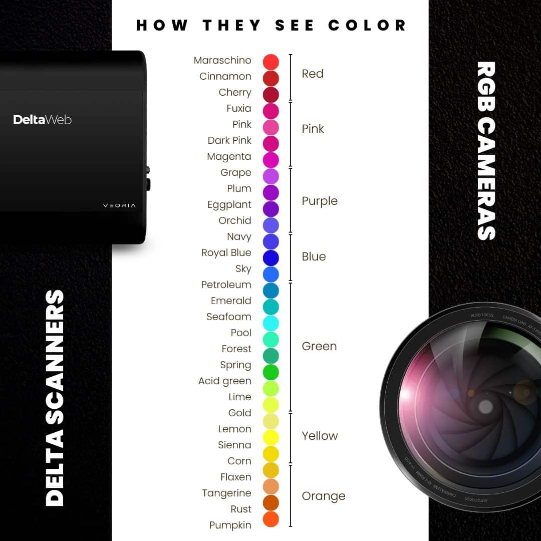 Inline Spectrophotometer vs. RGB Camera in Color Measurement